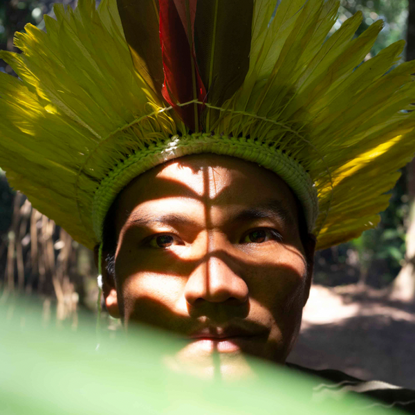 COP30 Through The Eyes Of Indigenous Peoples – #TOGETHERBAND