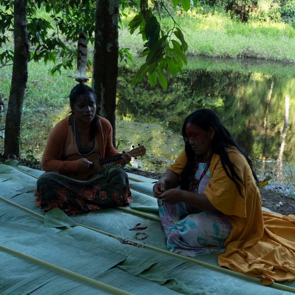 Indigenous Traditions And The Tropical Forest – #TOGETHERBAND