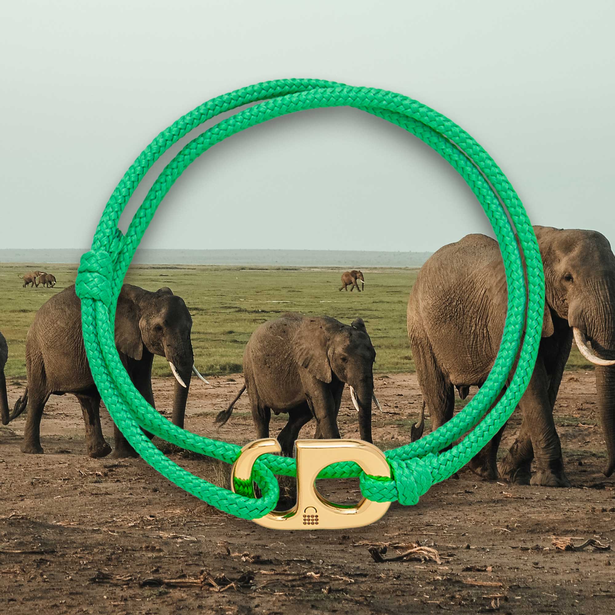 Goal 15: Life On Land - #TOGETHERBAND Edition